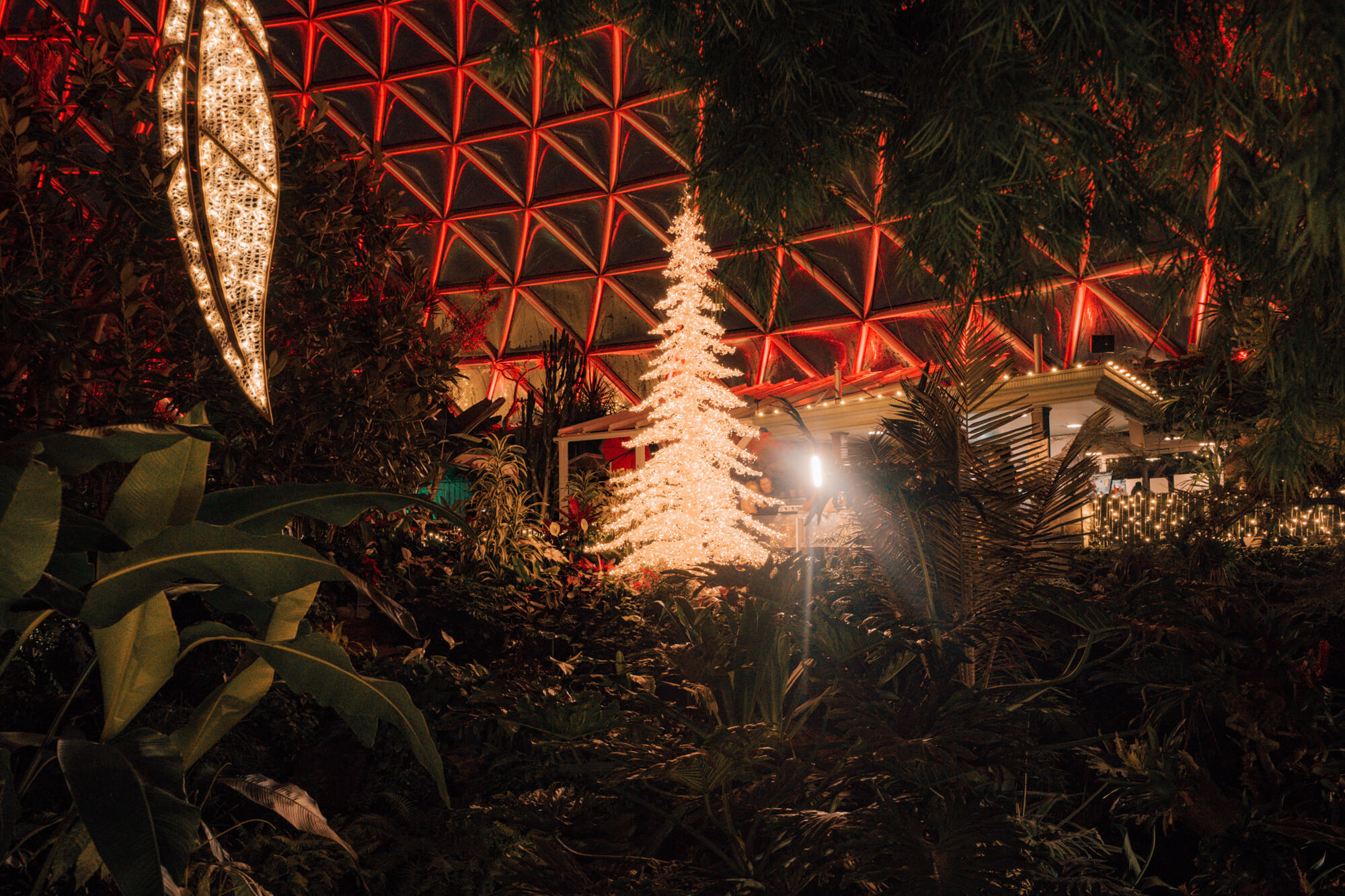 43 Fun Things to do in Vancouver When it Rains - Vancouver Tips