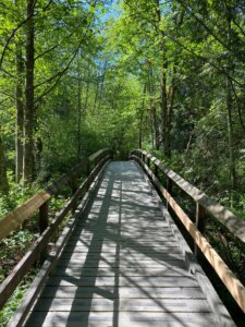 16 Unique & Fun Things to do in Surrey, BC - Vancouver Tips