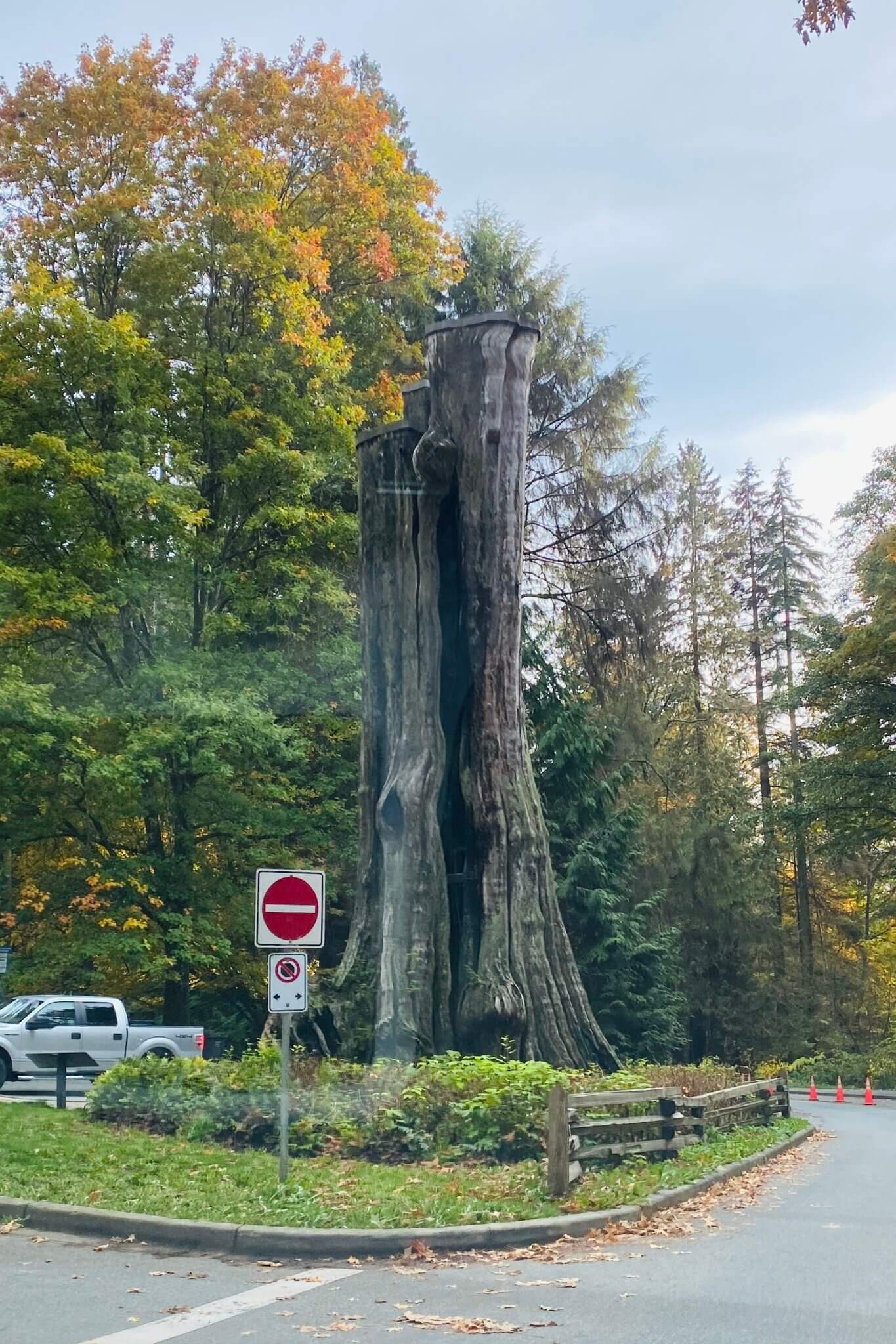 29 Unique & Fun Things to do in Stanley Park - Vancouver Tips