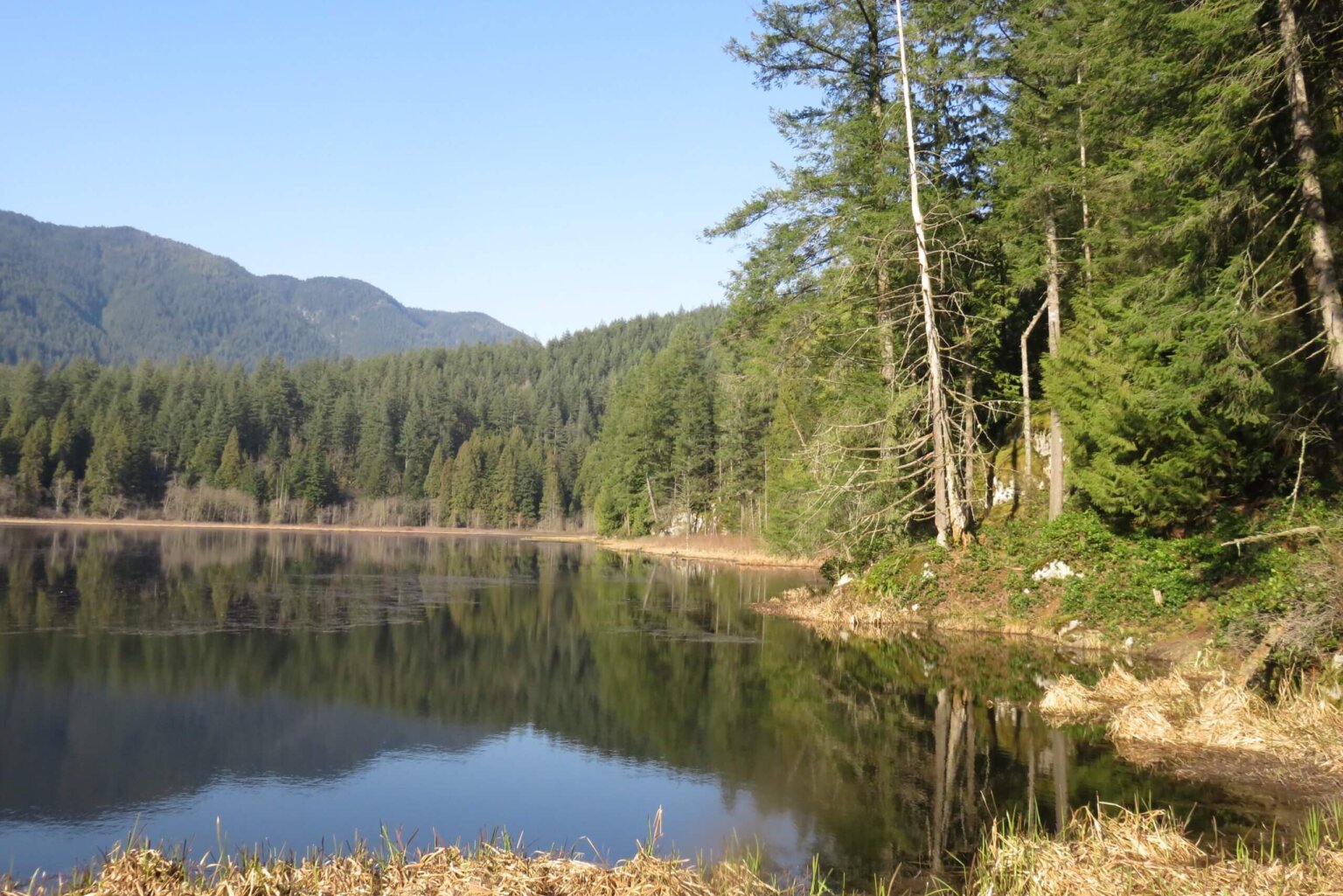 12 Unique & Fun Things to do in Coquitlam, BC – Vancouver Tips