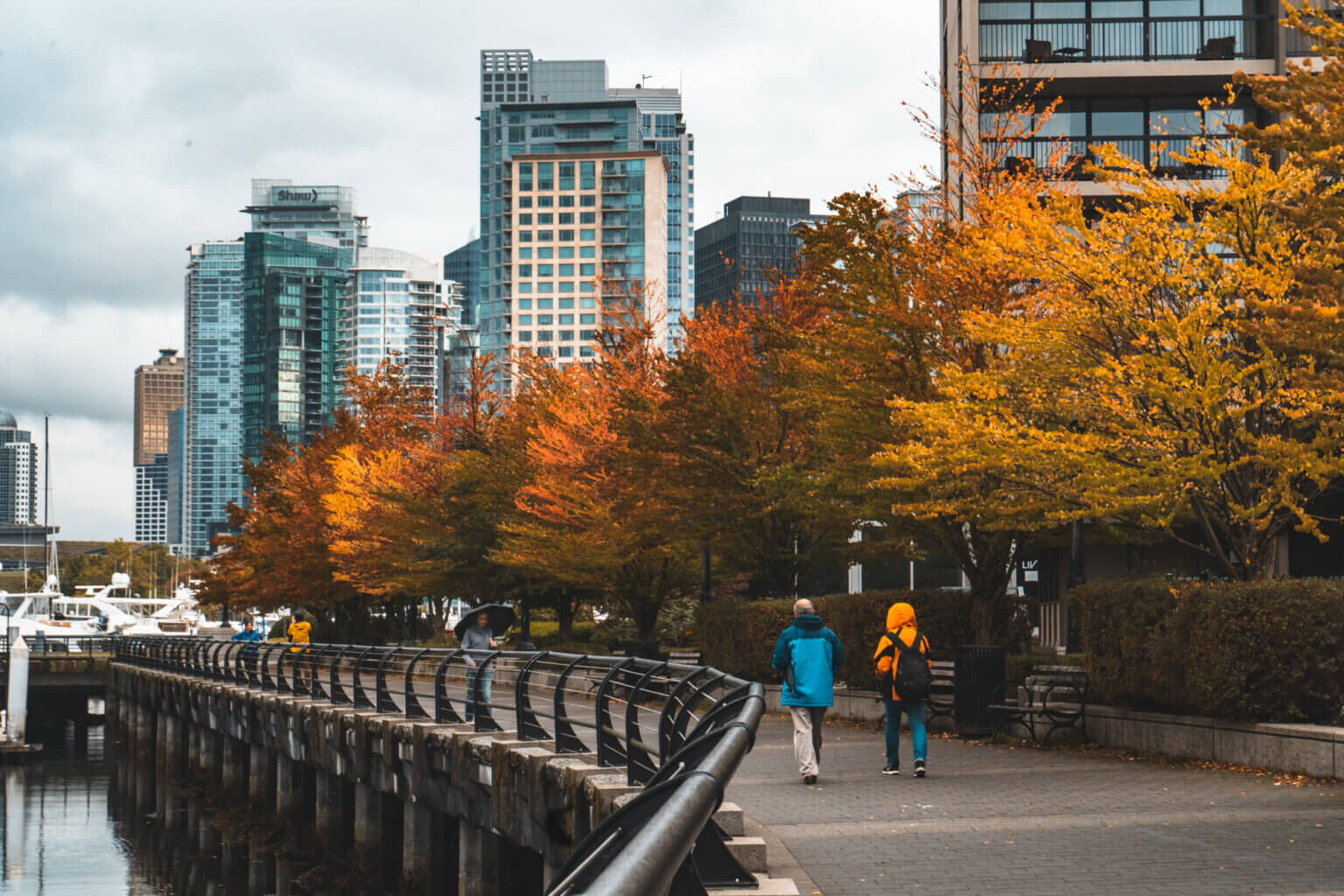 43 Fun Things to do in Vancouver When it Rains - Vancouver Tips
